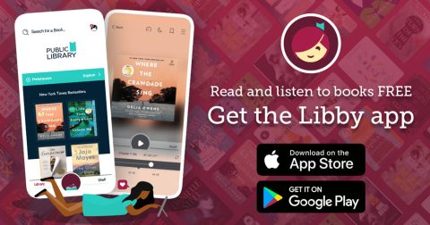 Libby, Libraries, And The Shocking Cost Of Ebook Licenses | Bruceb ...