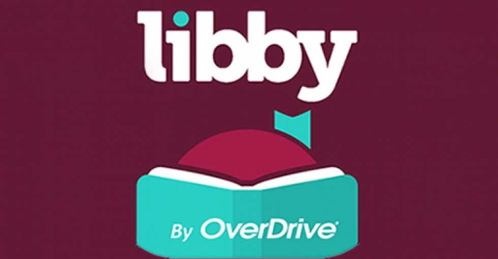 Libby, Libraries, And The Shocking Cost Of Ebook Licenses | Bruceb ...